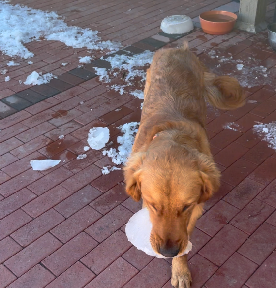 Top AI Plays, Trump's Crypto Shenanigans, Apple's AI Potential, And ...