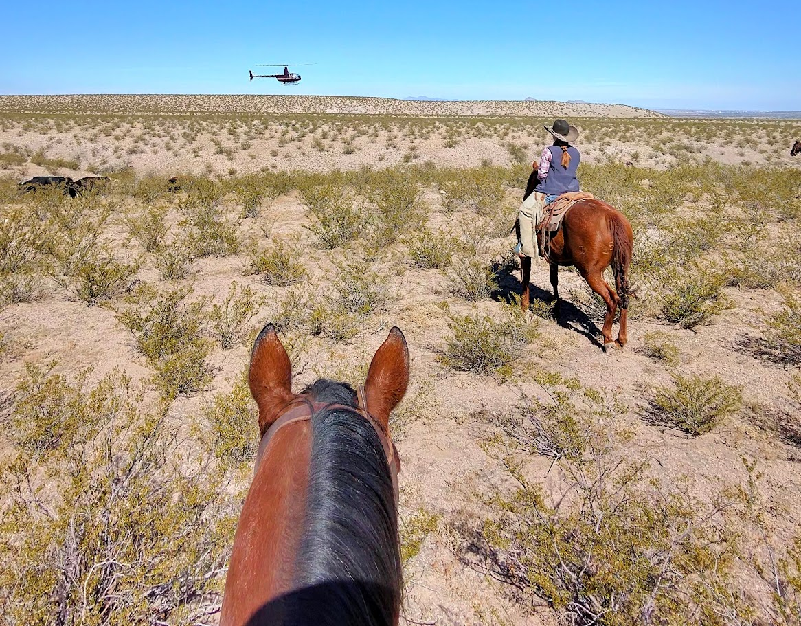 Tangible Fear, Crypto Crash, CRWV Default, Commodity Stablecoins, and ...